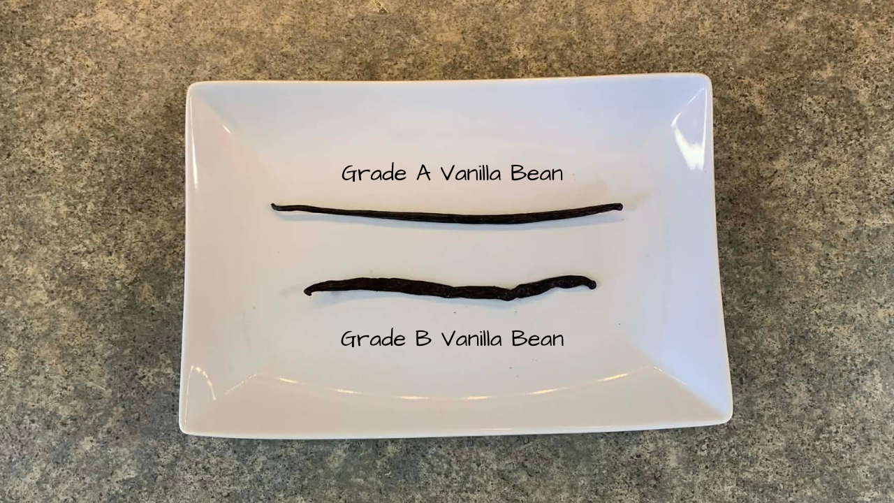 Complete Guide to Making Vanilla Extract — Natural Living Alchemy