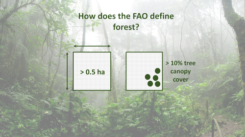 Busting 3 Myths about Deforestation Monitoring for the EUDR — GFW Pro ...
