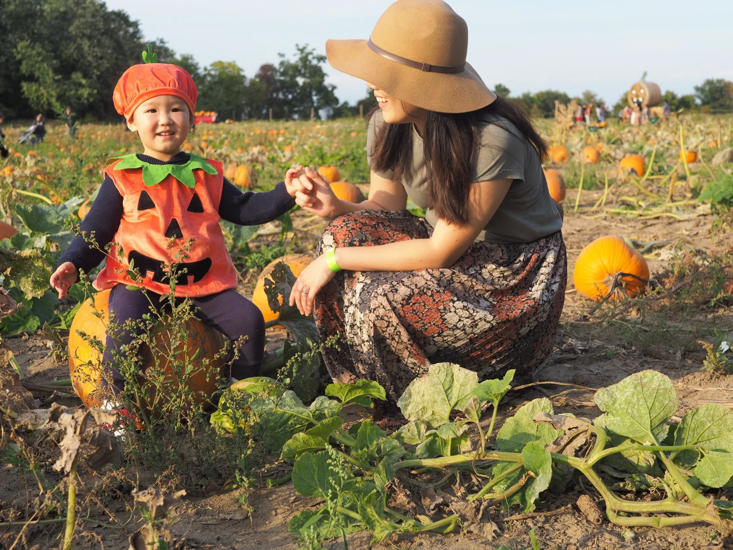 The history behind “The Red Palace” — June Hur