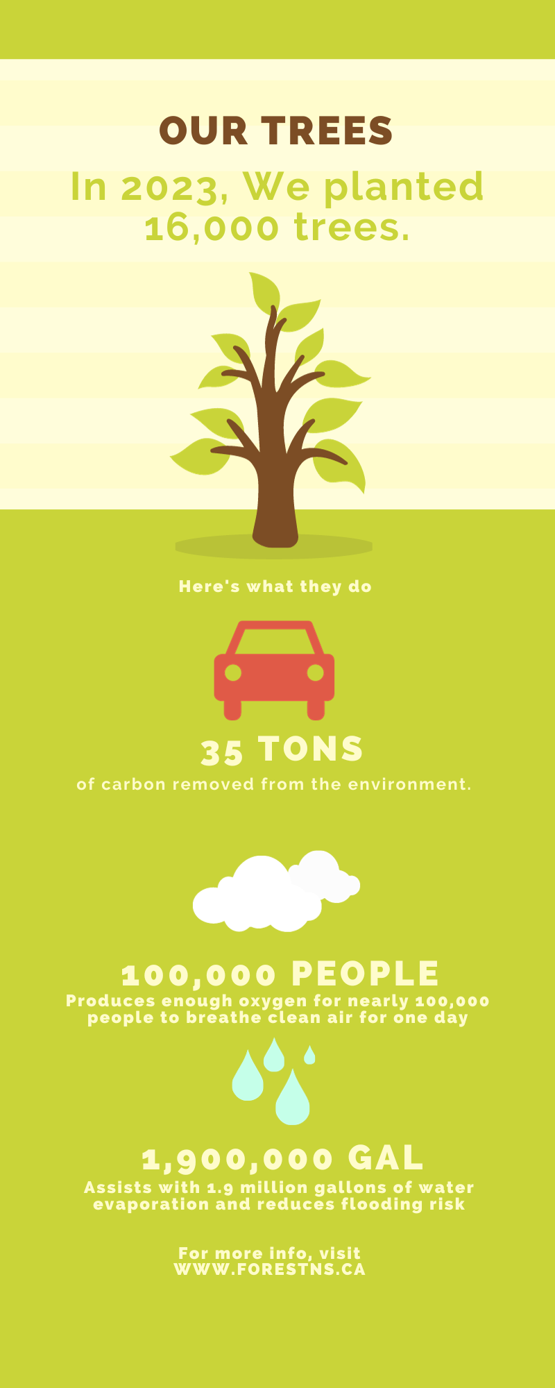 Our Trees Success — Forest Nova Scotia