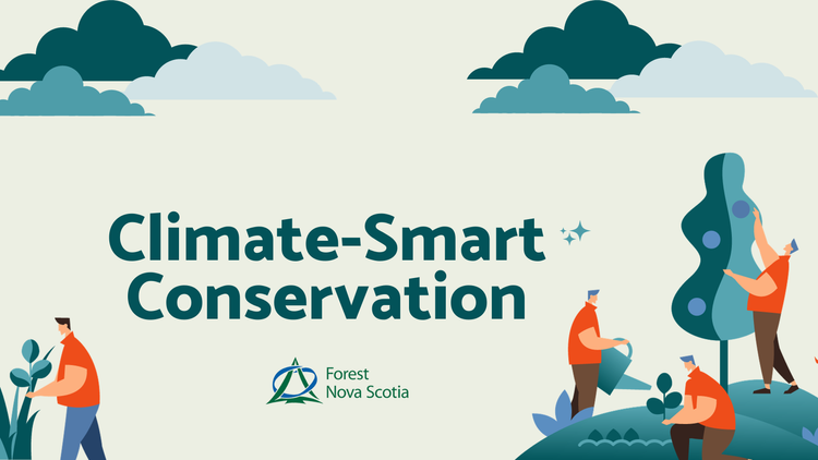 Understanding Climate-Smart Conservation: A Step Towards a Sustainable ...