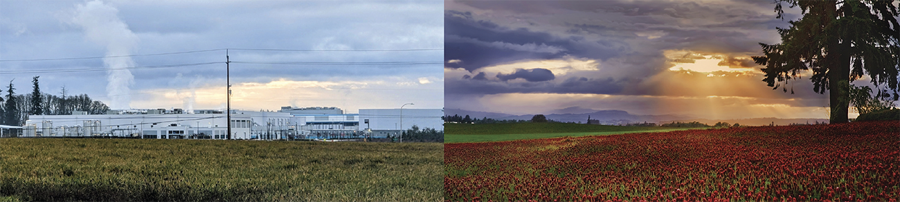 Friends of North Plains Smart Growth: Stop the Sprawl!