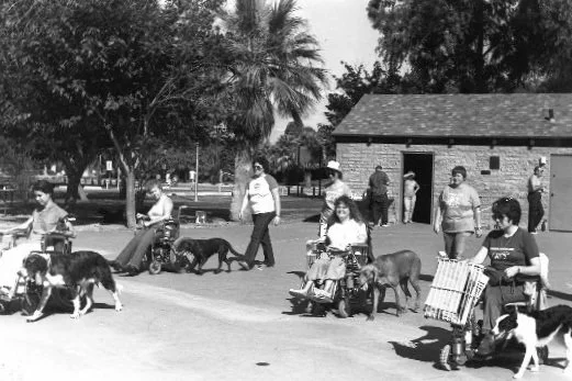 Ability Dogs History — Ability Dogs