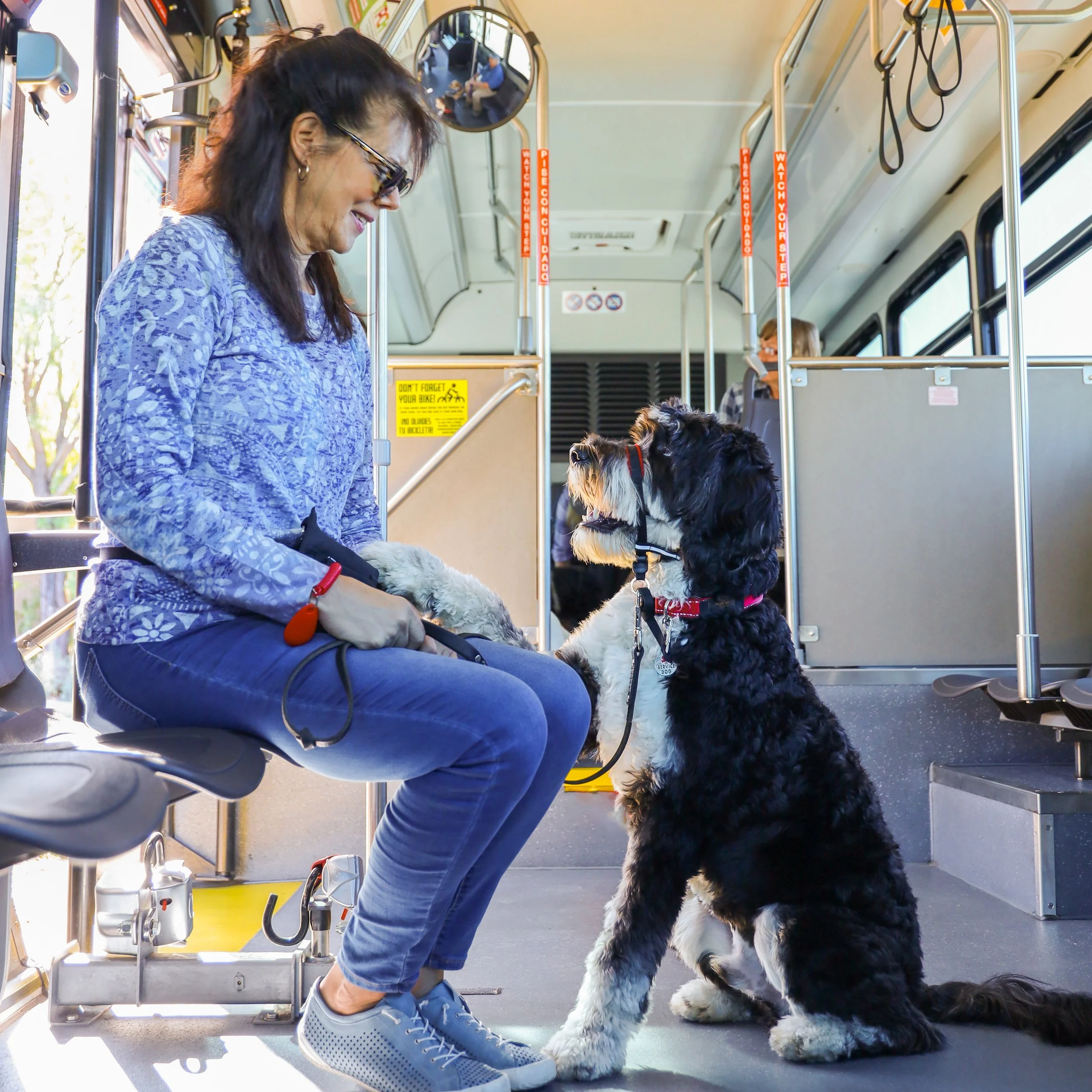 Ability Dogs of Arizona