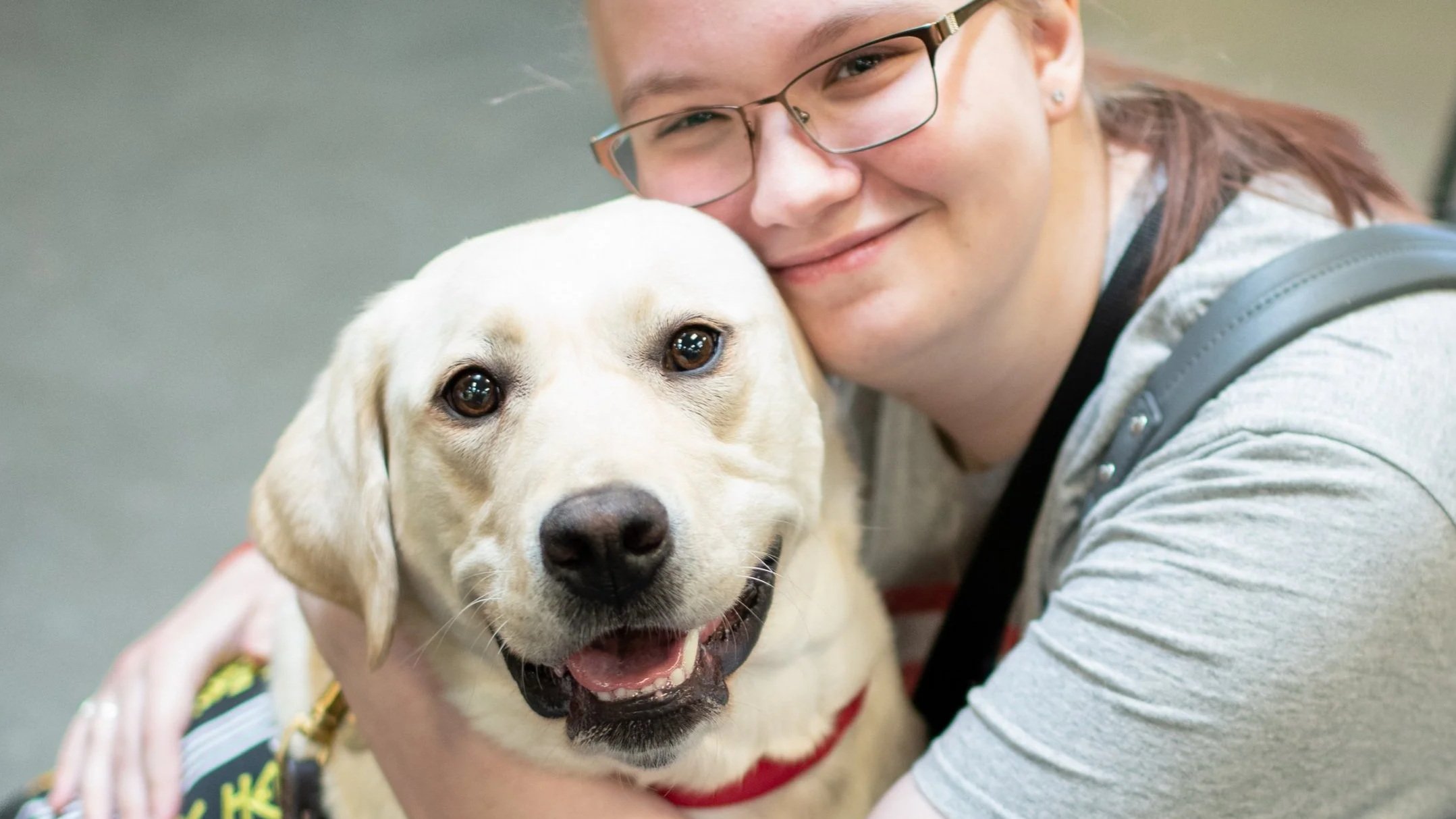 Ability Dogs of Arizona