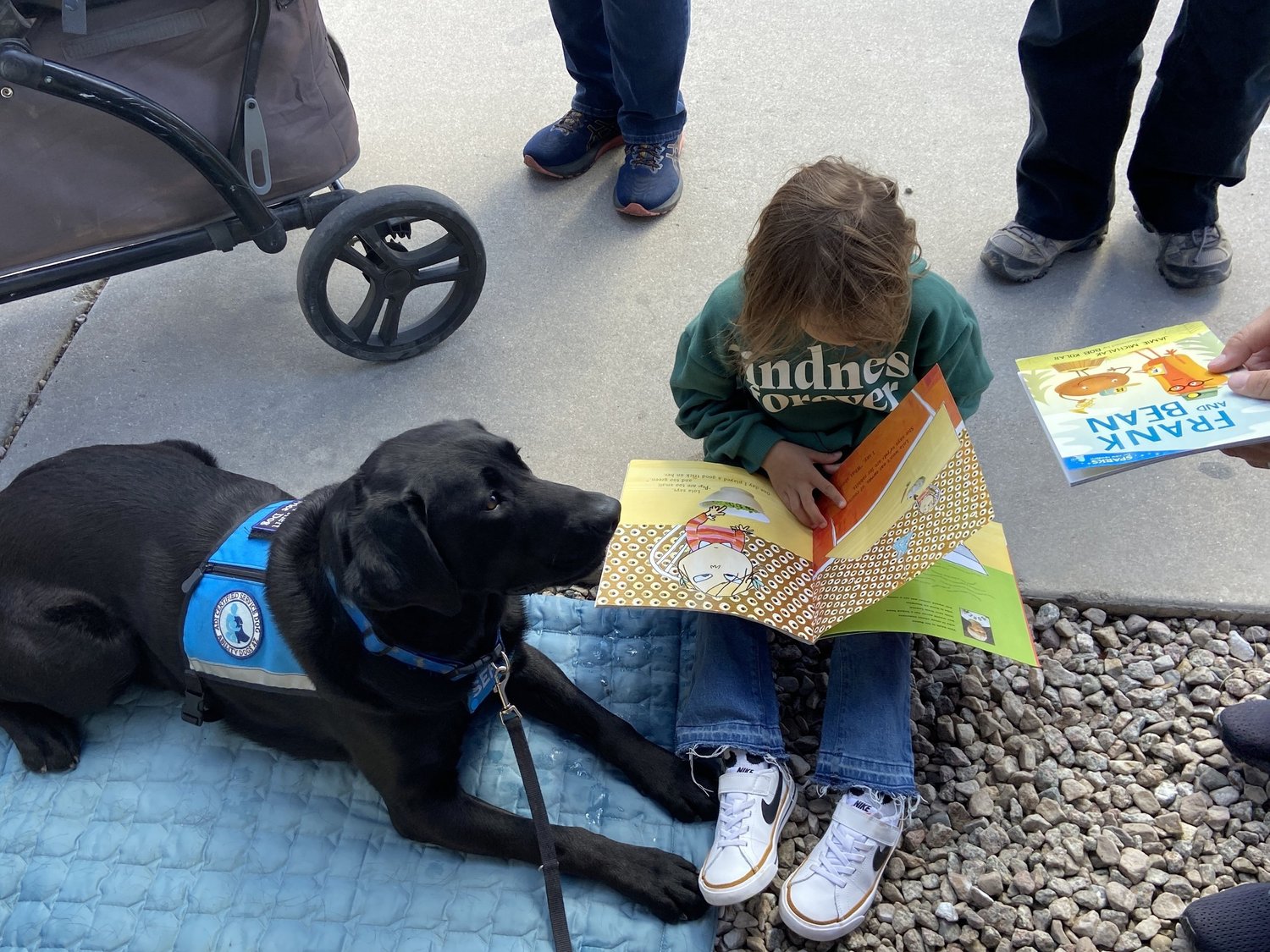 Ability Dogs of Arizona