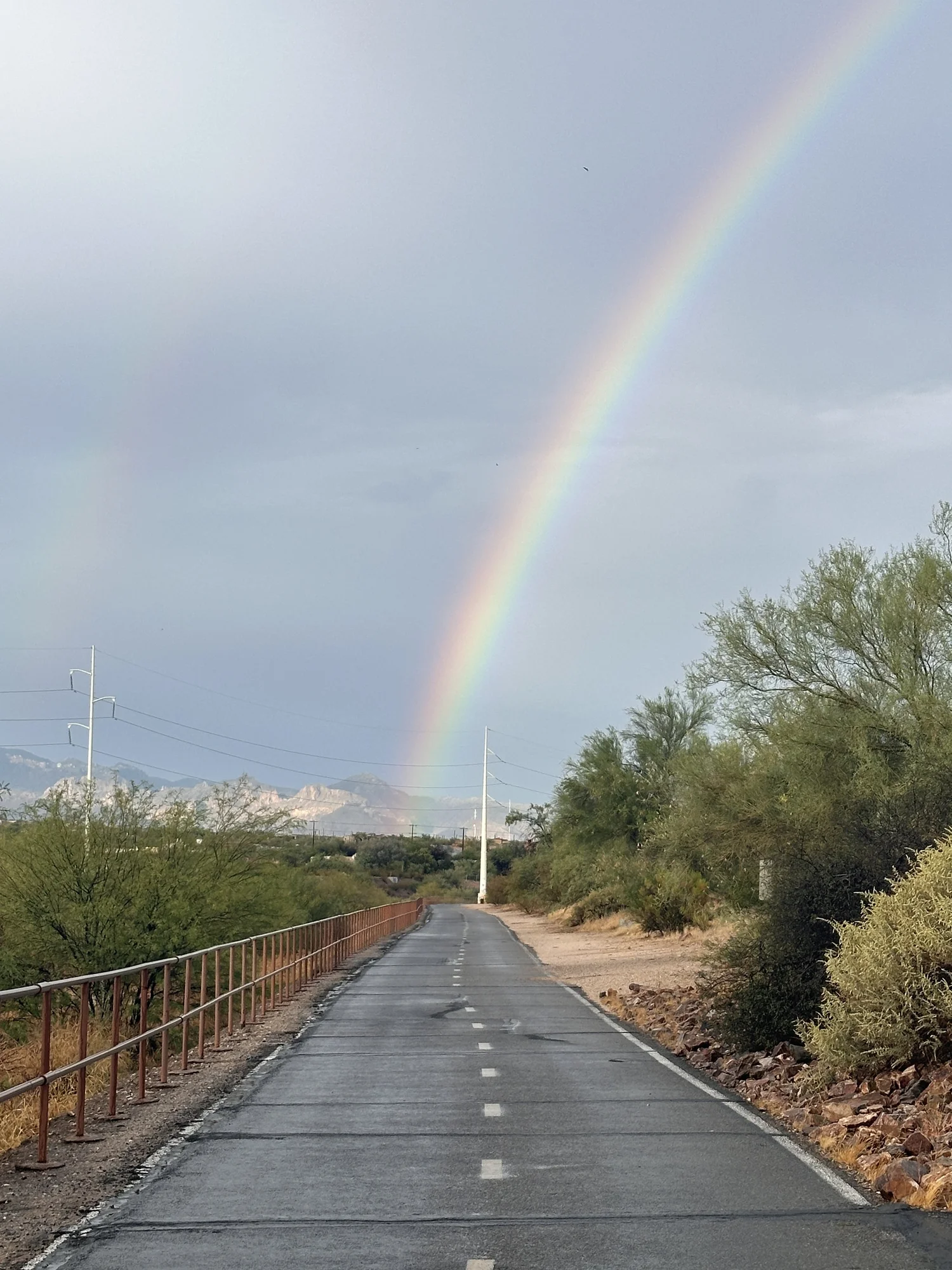 Ability Dogs of Arizona