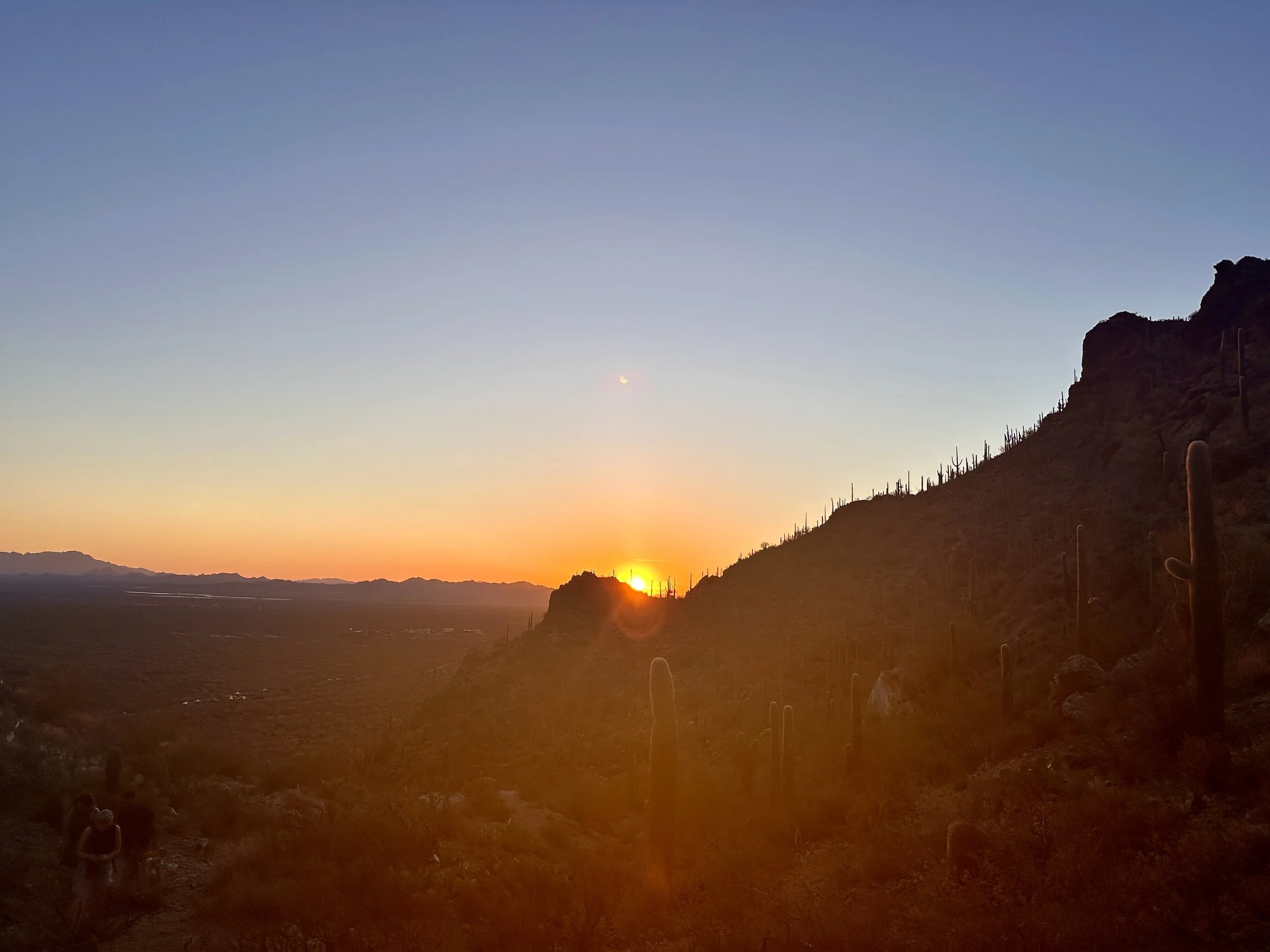 Frequently Asked Service Dog Questions — Ability Dogs