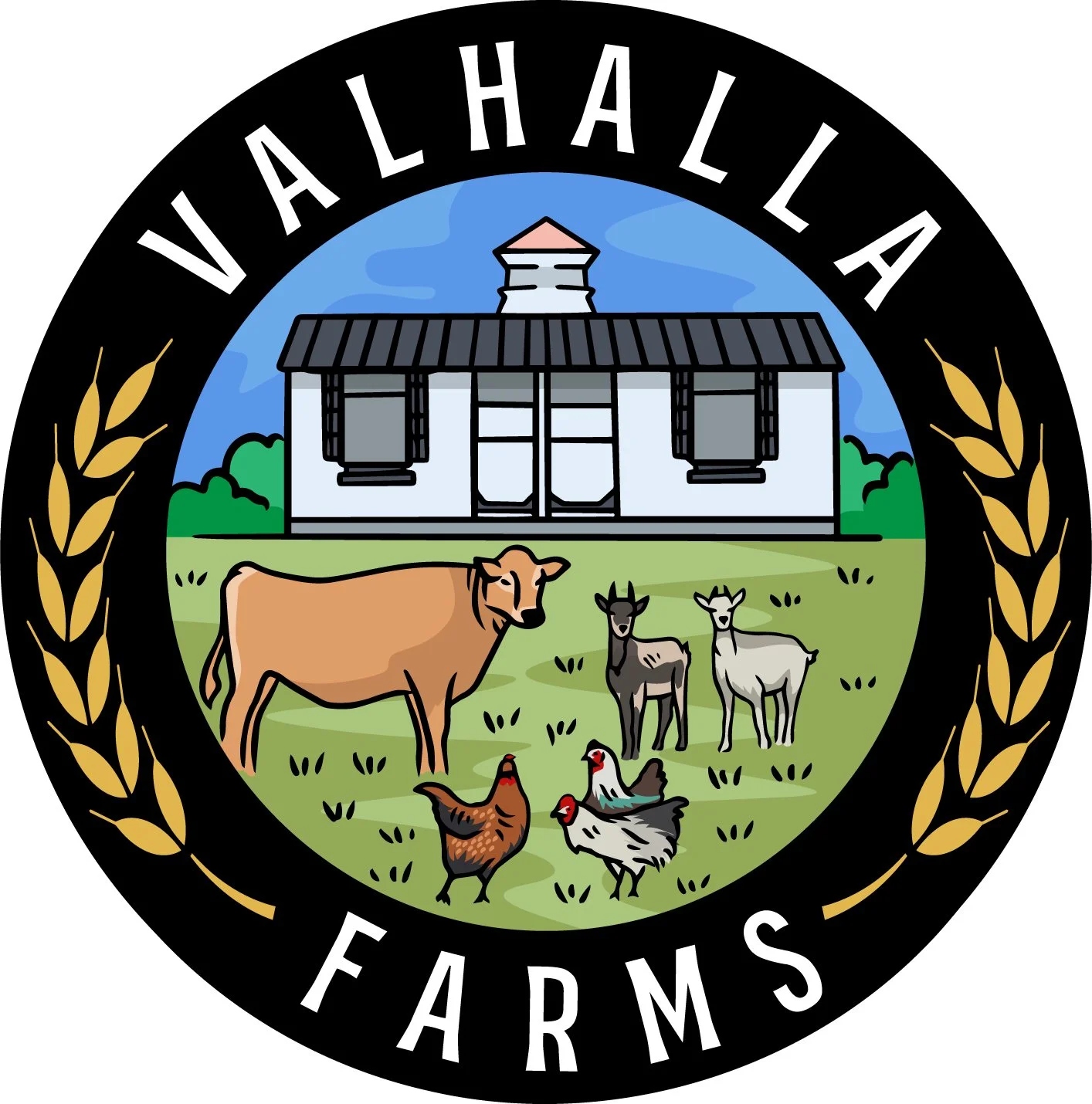 Anderson Independent Youth Soccer Association