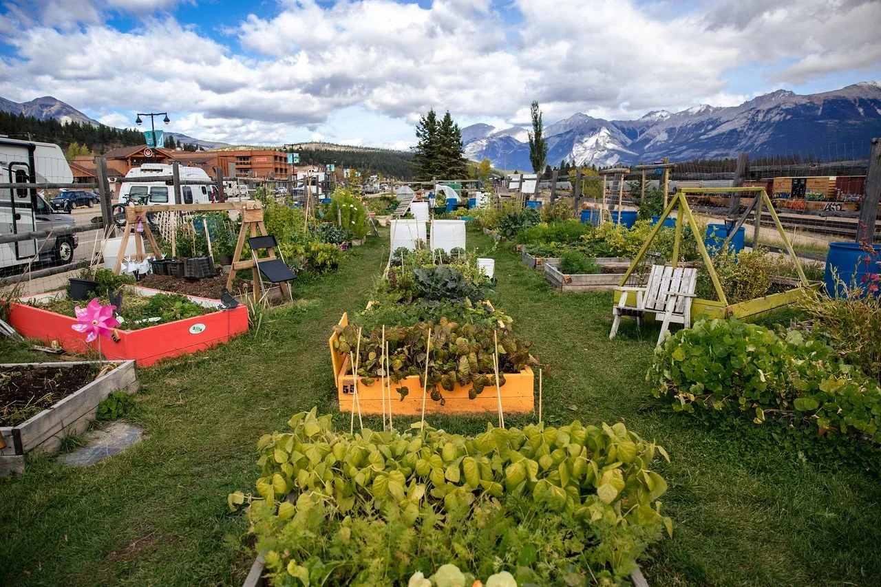 Jasper Food Alliance (JFA)