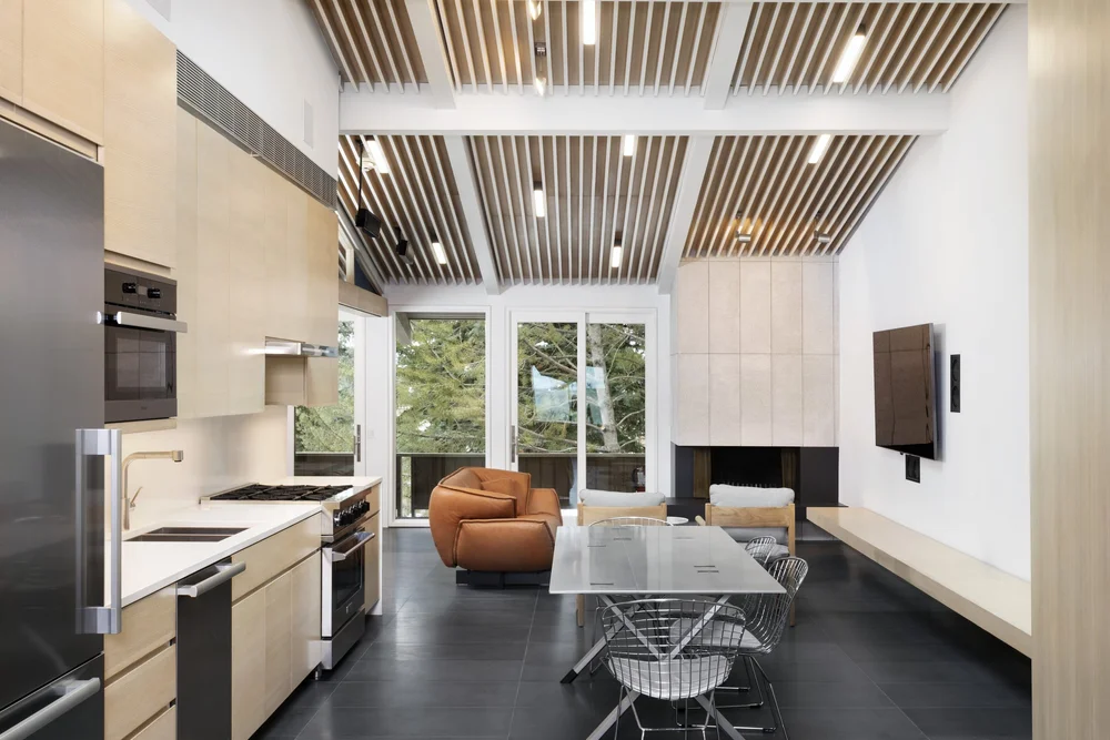 Aspen Alps Modern Home - Aspen, CO — SH Built