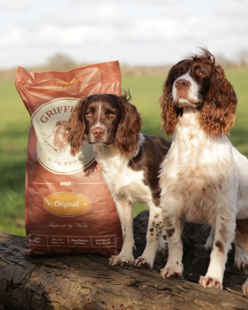 Our Brands — ThePetFoodPeople