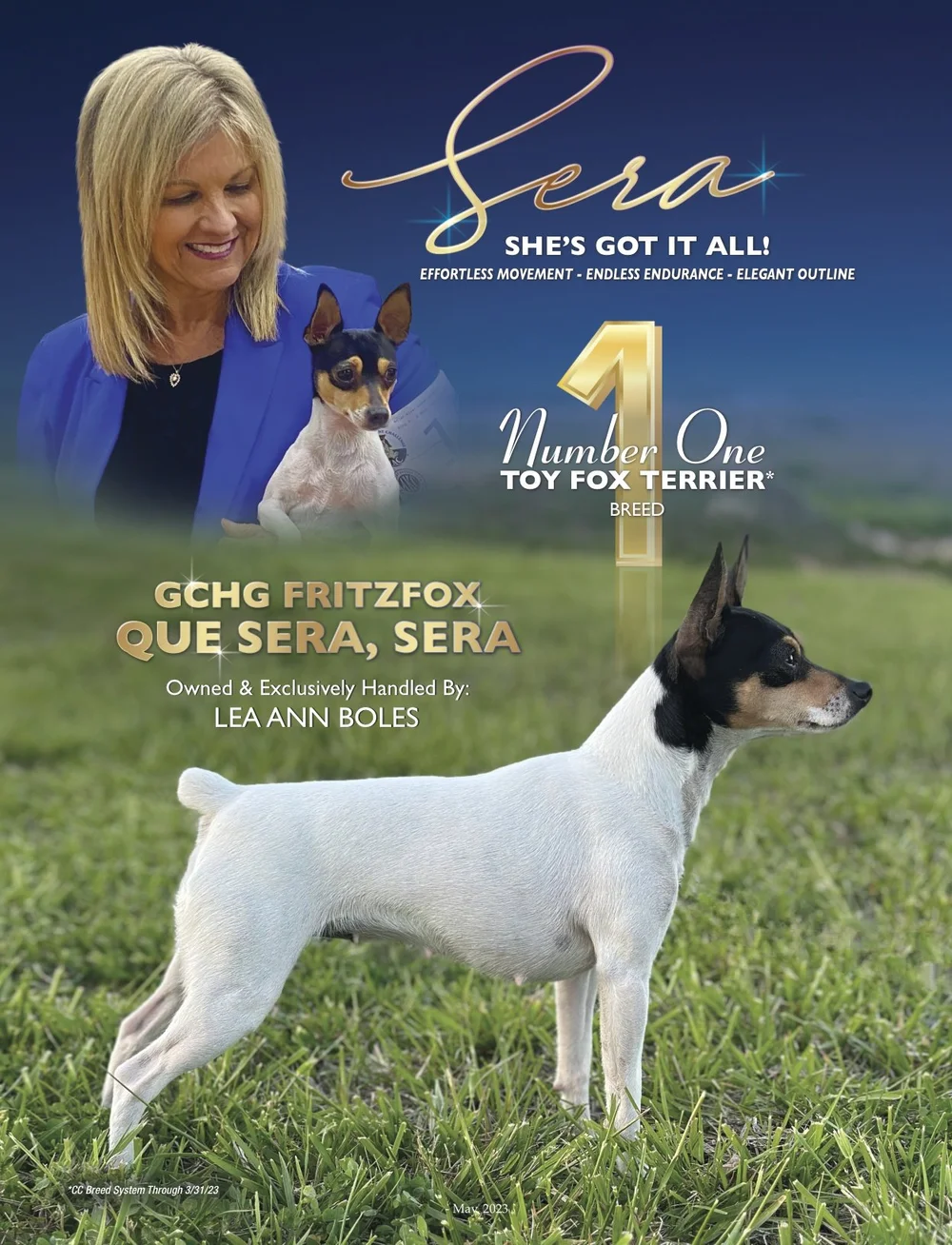FritzFox Toy Fox Terrier dogs — FritzFox Toy Fox Terriers