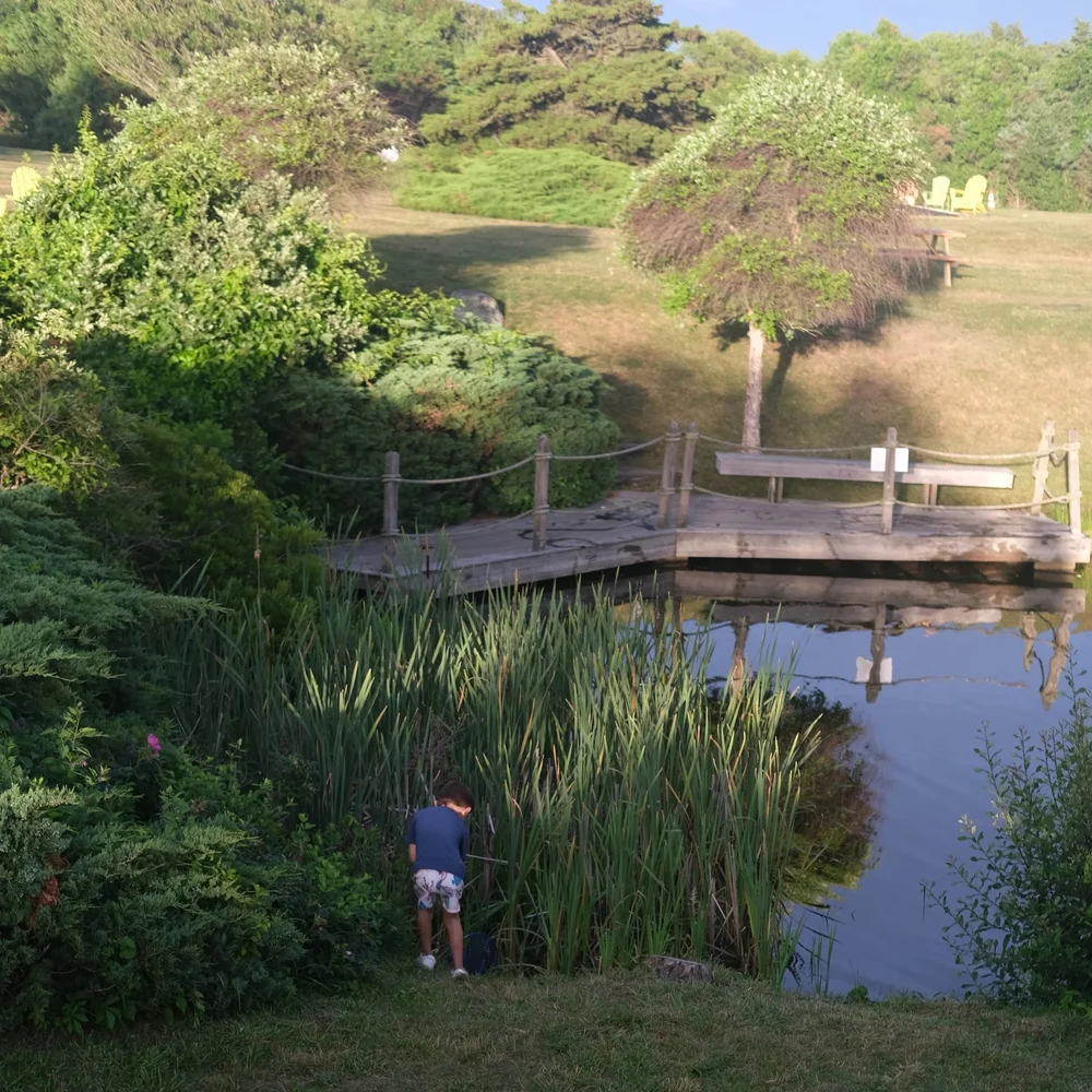 Winnetu Oceanside Resort Review (2026): Martha’s Vineyard’s Best Family ...