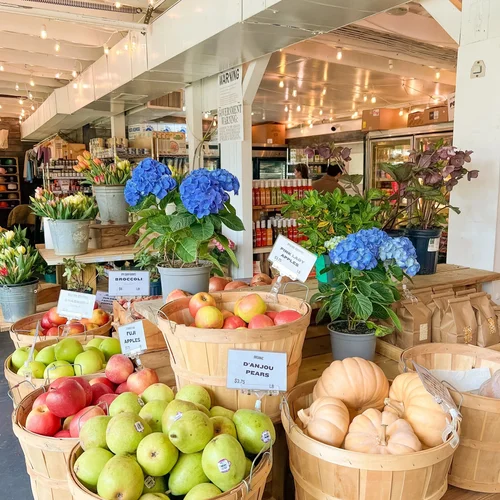 Amagansett Travel Guide: Where to Stay, Eat and Visit (2026)