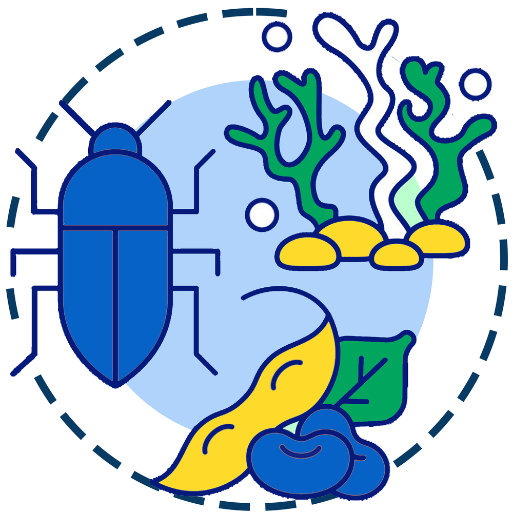 Alternative Proteins — Lincoln University Centre of Excellence in ...