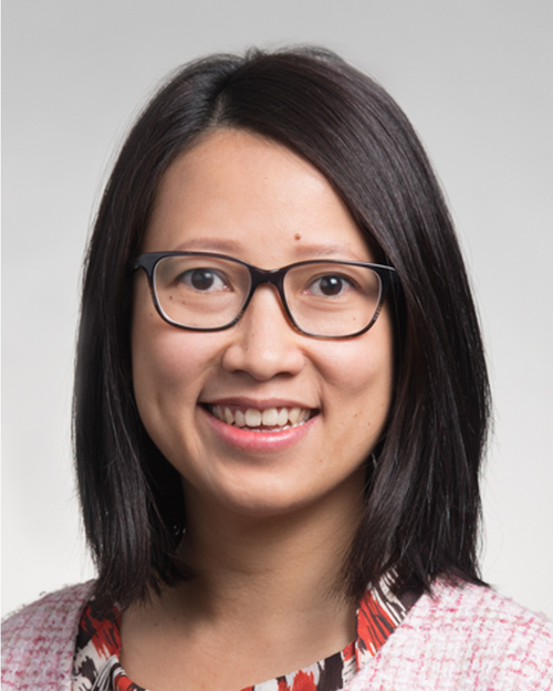 Fellows — Lincoln University Centre of Excellence in Transformative ...