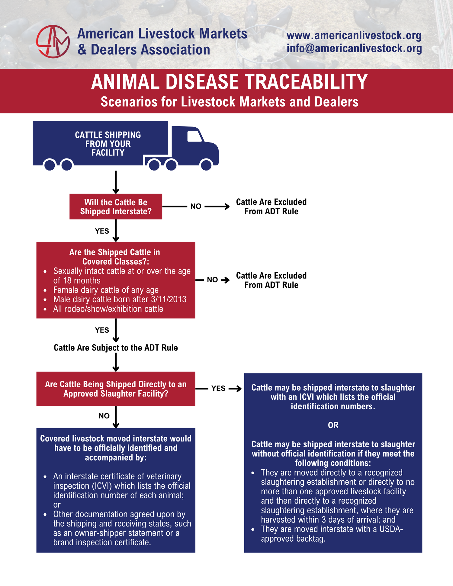 Animal Disease Traceability — American Livestock Markets & Dealers ...