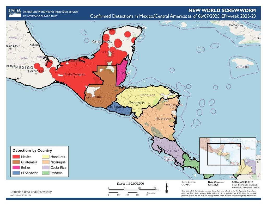 New World Screwworm — American Livestock Markets & Dealers Association