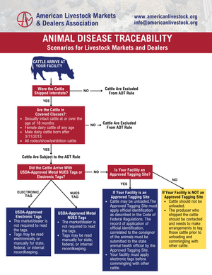 Animal Disease Traceability — American Livestock Markets & Dealers ...