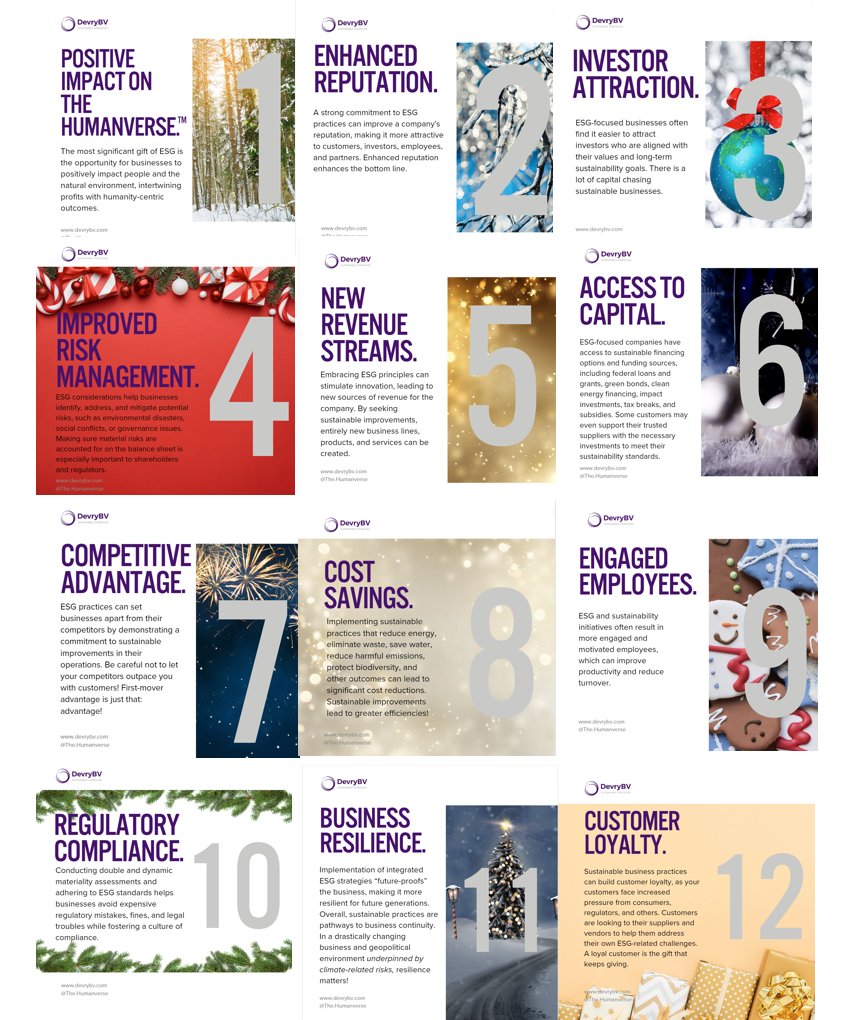 The "12 Gifts of ESG" for Small + Midsized Businesses in 2024 — DevryBV ...