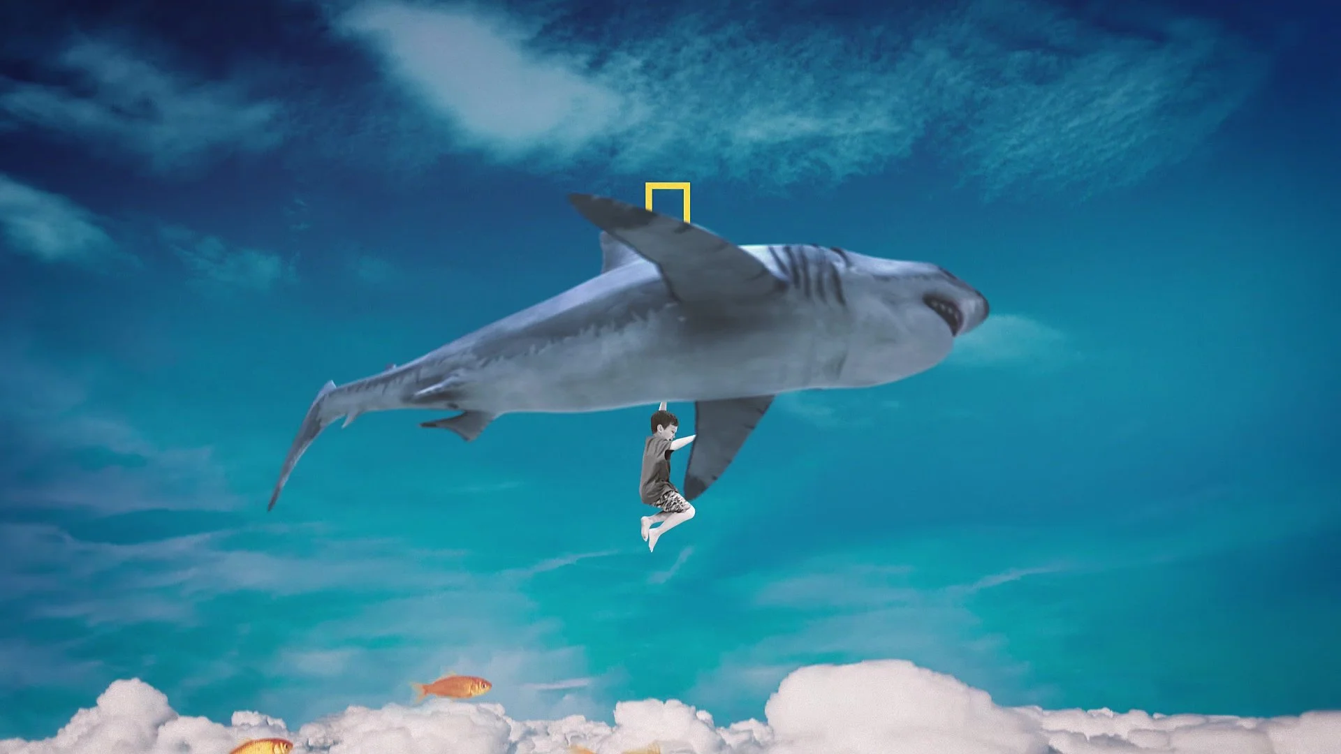 National Geographic — MiraRuido