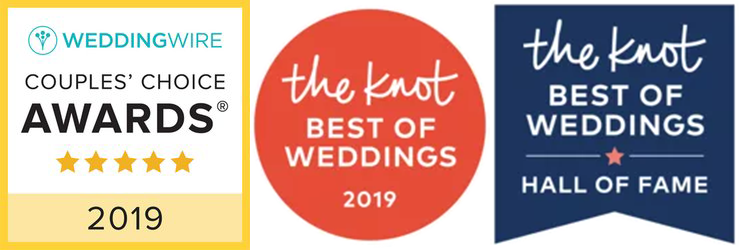 DJ Domenic Entertainment | Non Cheesy Wedding DJ