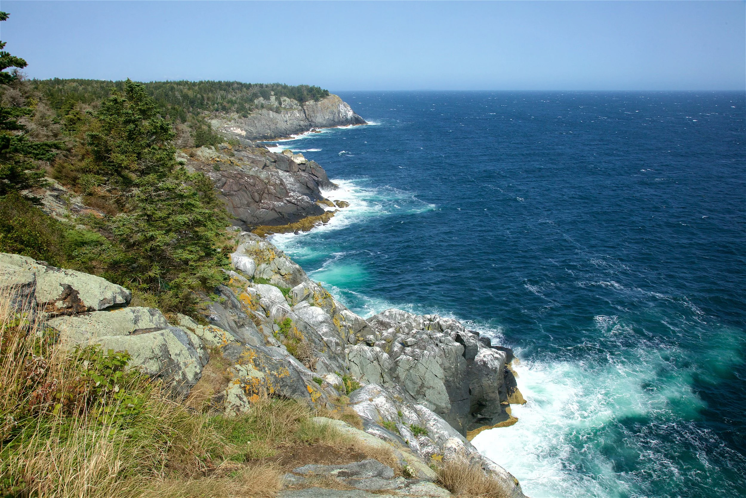 The Wildlands of Monhegan Island — From the Ground Up — From the Ground Up