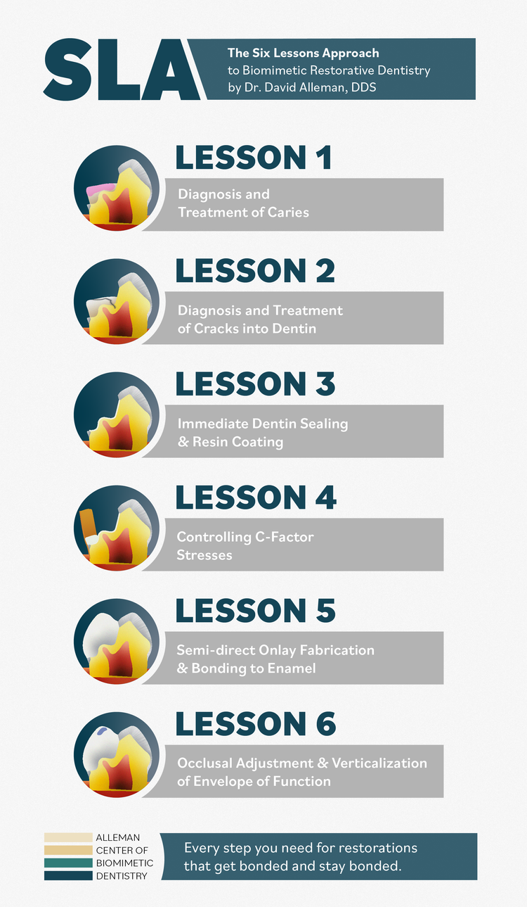 Six Lessons Approach — Alleman Center of Biomimetic Dentistry