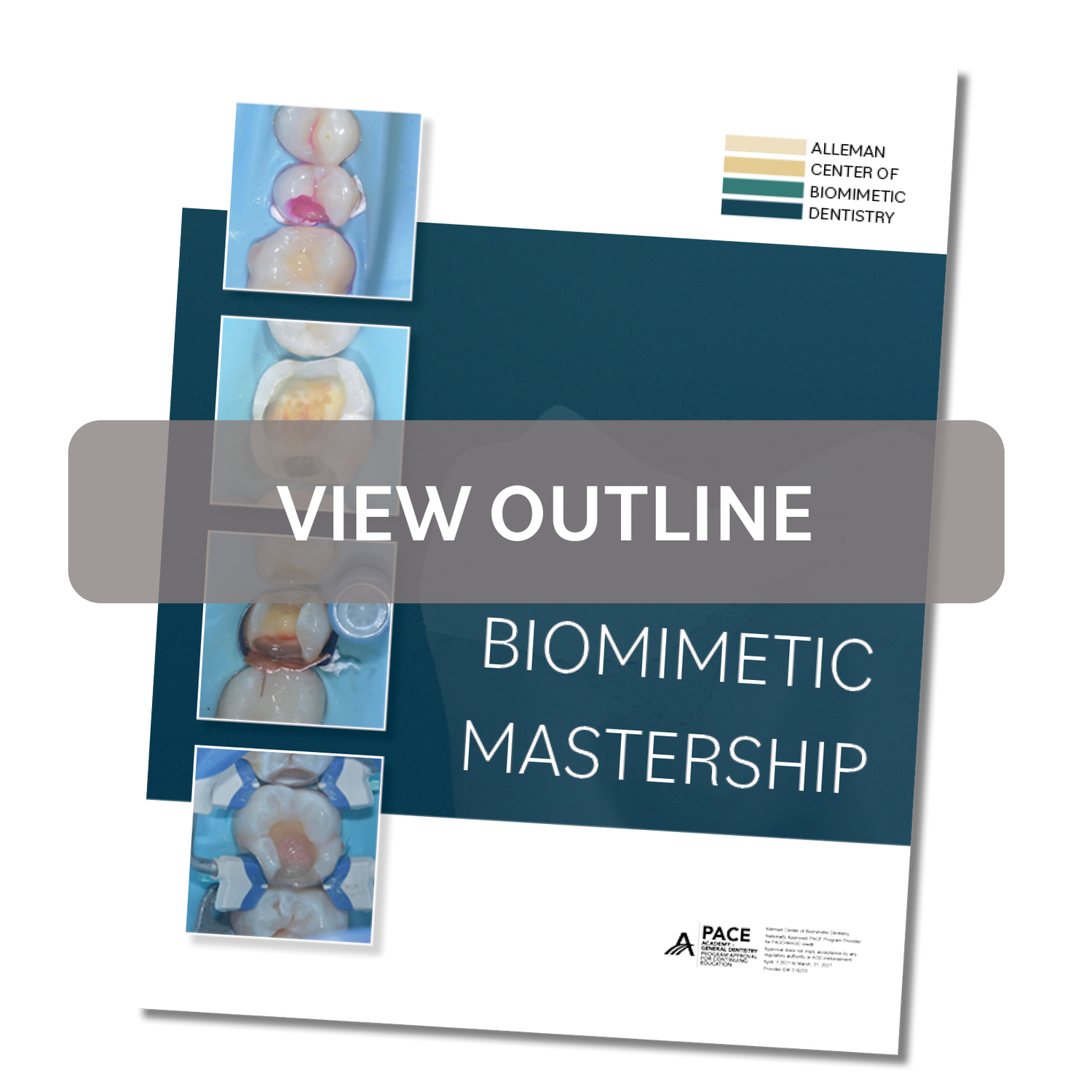 Biomimetic Mastership — Alleman Center of Biomimetic Dentistry