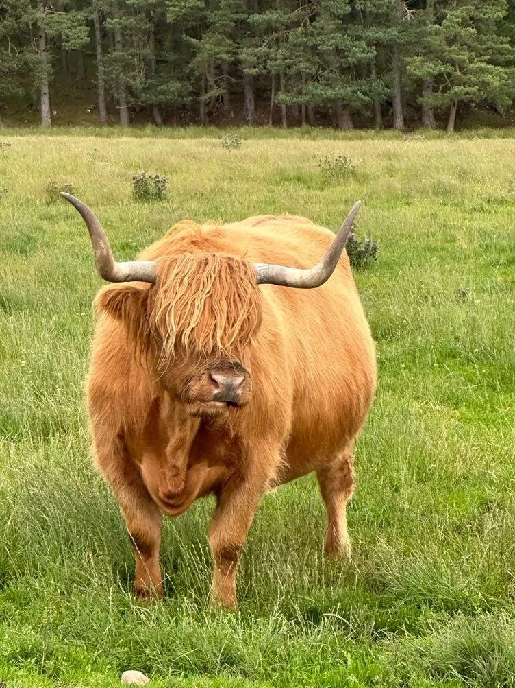 General 1 — AW OUTLET