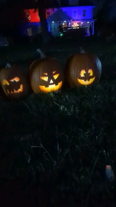 Hansel Hill Farm | Local Produce & CSA | Farm Fresh Eggs | Millersville, MD