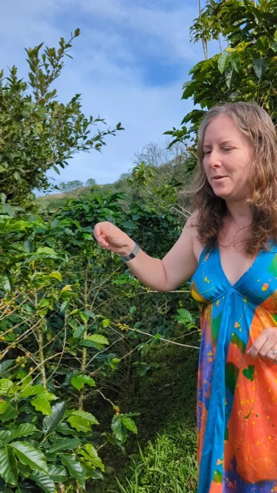 Hansel Hill Farm | Local Produce & CSA | Farm Fresh Eggs | Millersville, MD