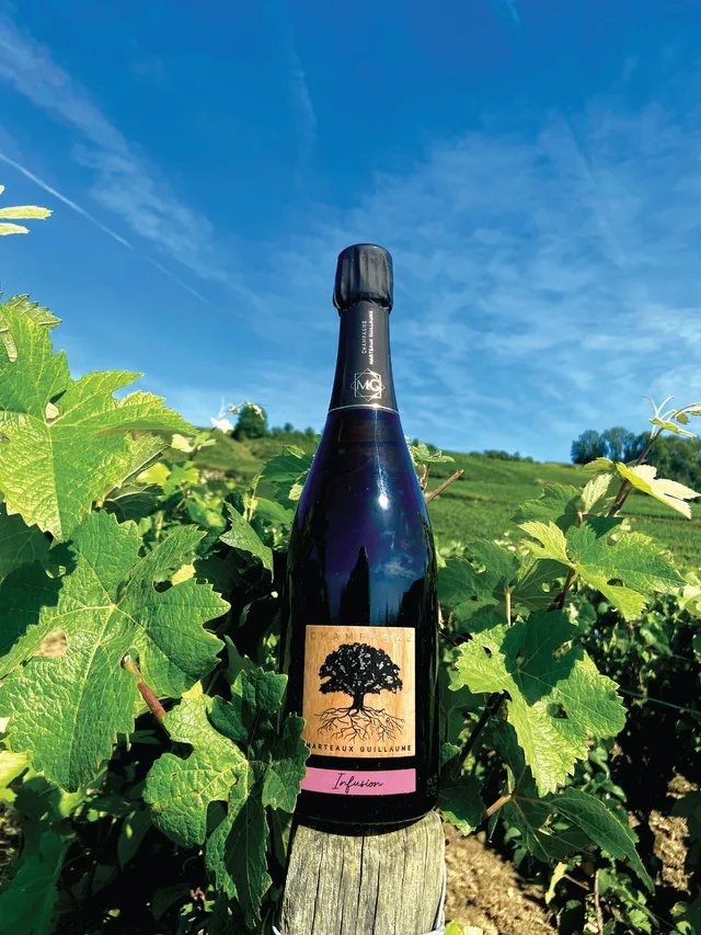 Champagnes — Imperial Importers