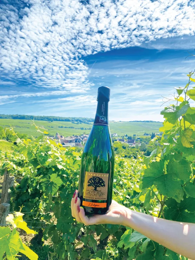 Champagnes — Imperial Importers