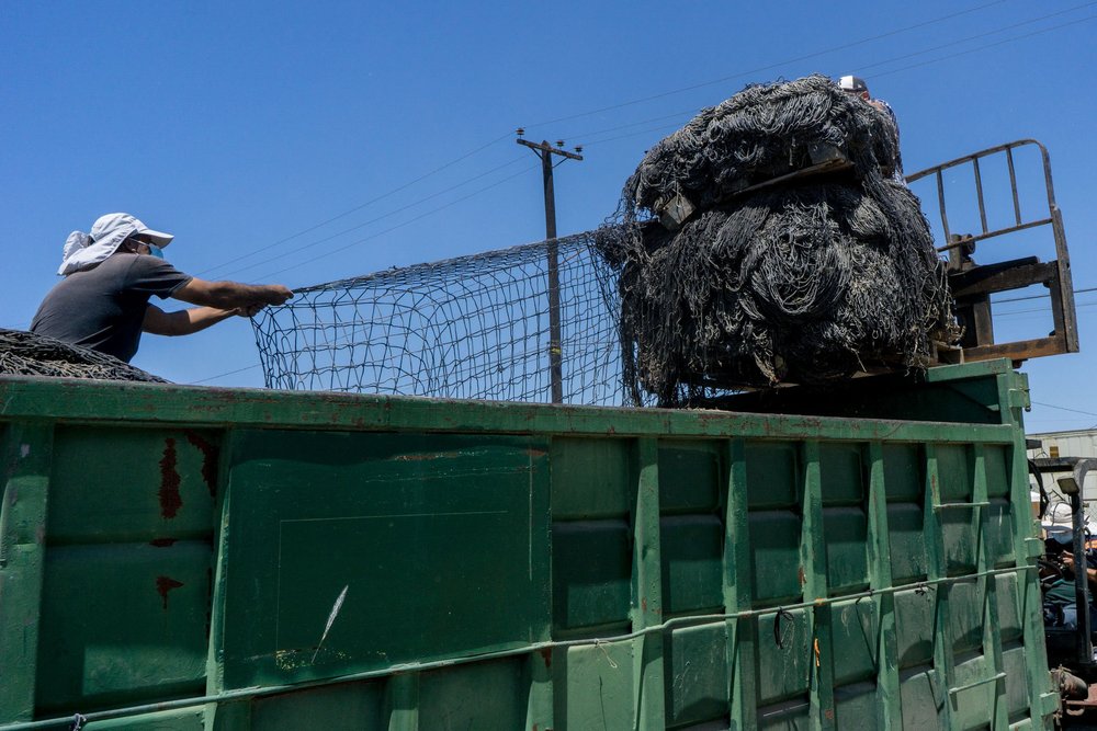 GGGI Signature Project - North American Net Collection Initiative ...