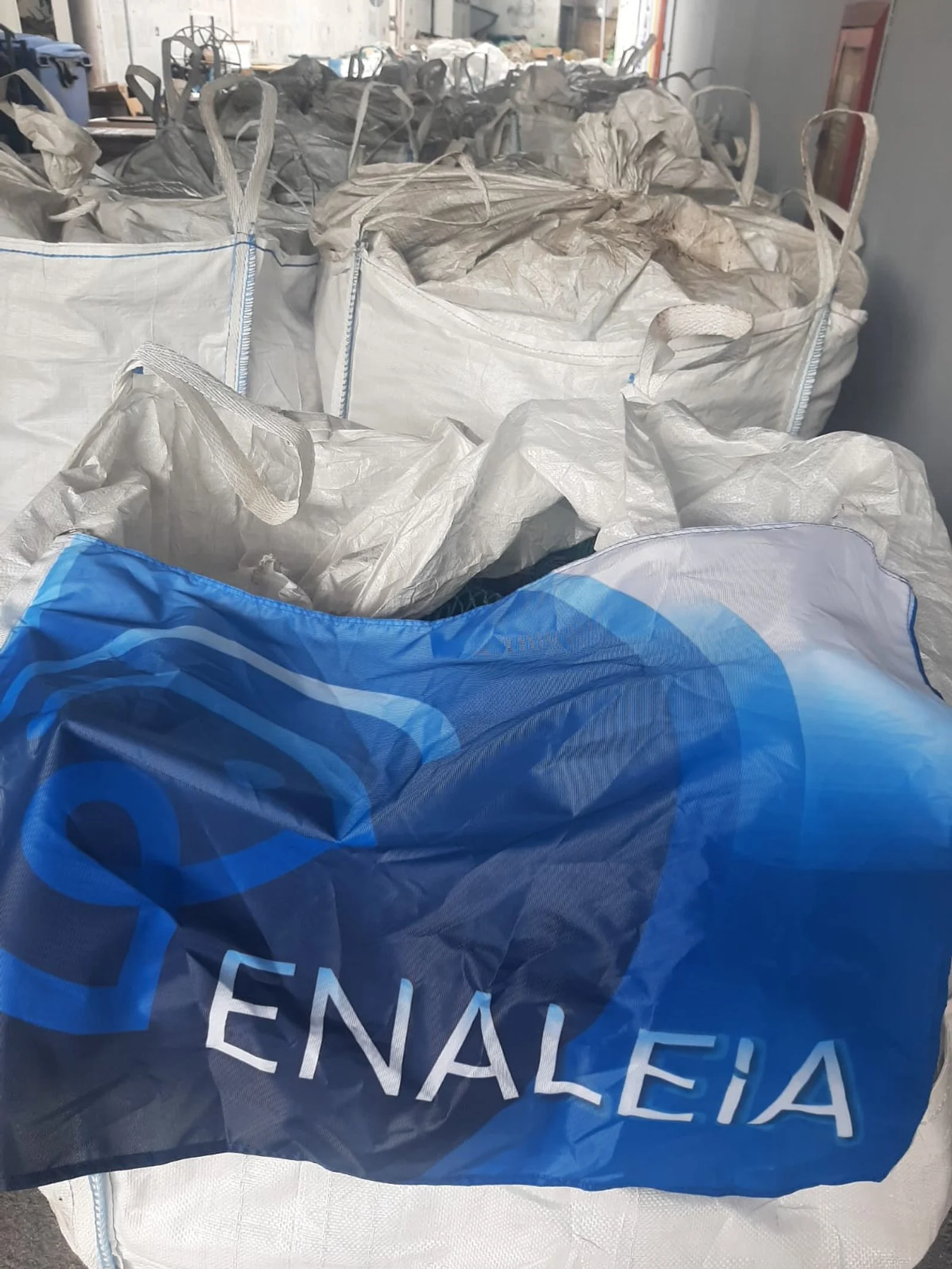 GGGI Small Grant (2021) - Enaleia (Italy) — The Global Ghost Gear ...