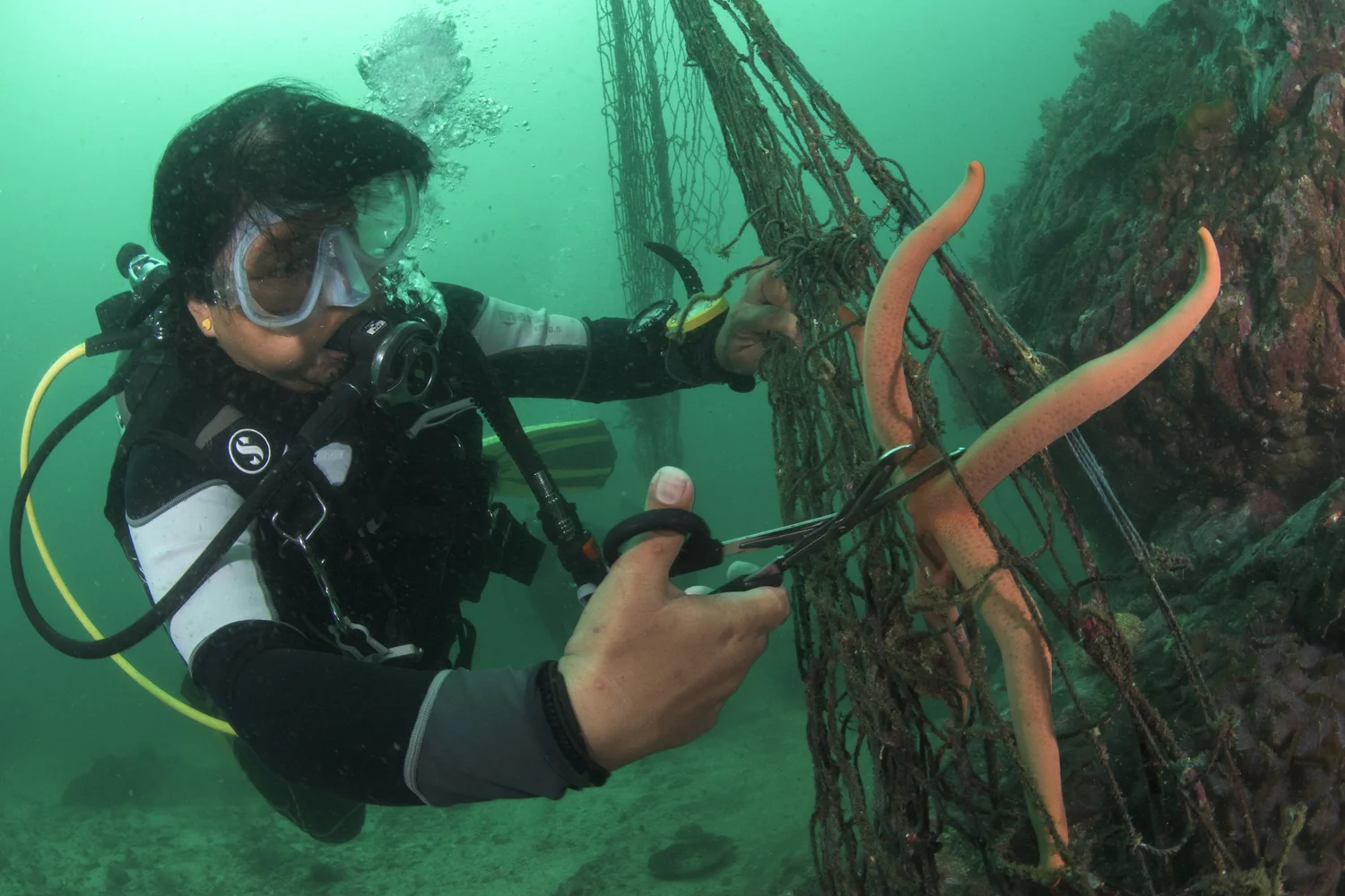 FAQs — The Global Ghost Gear Initiative