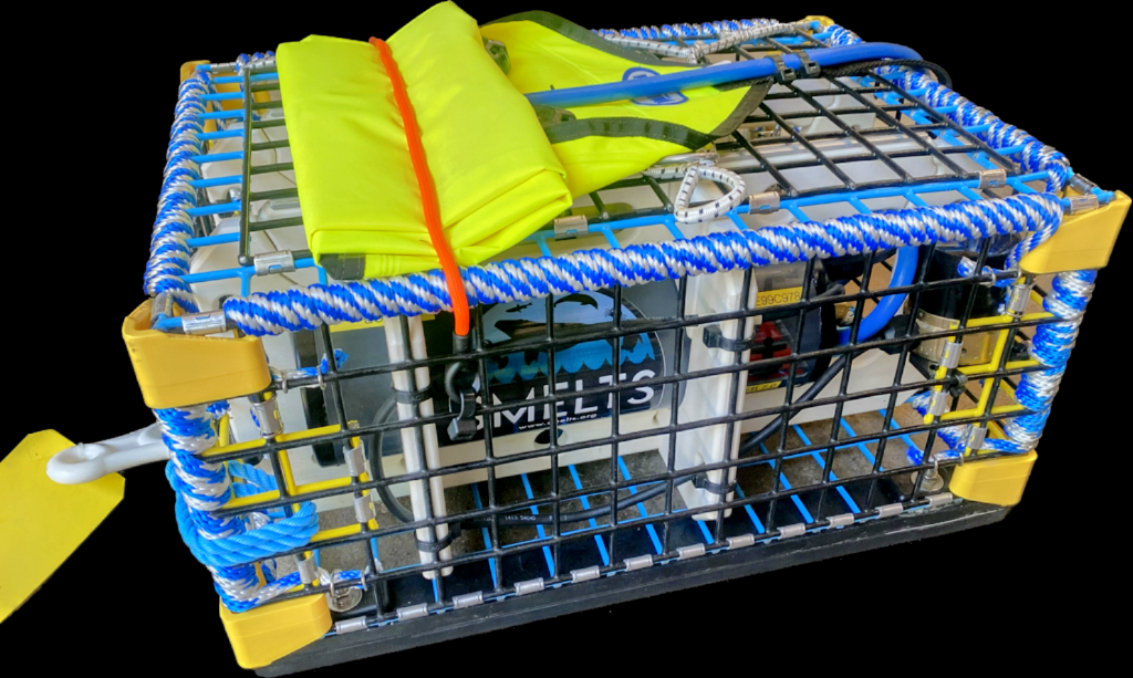 GGGI Small Grant (2022) - Sea Mammal Education Learning Technology ...