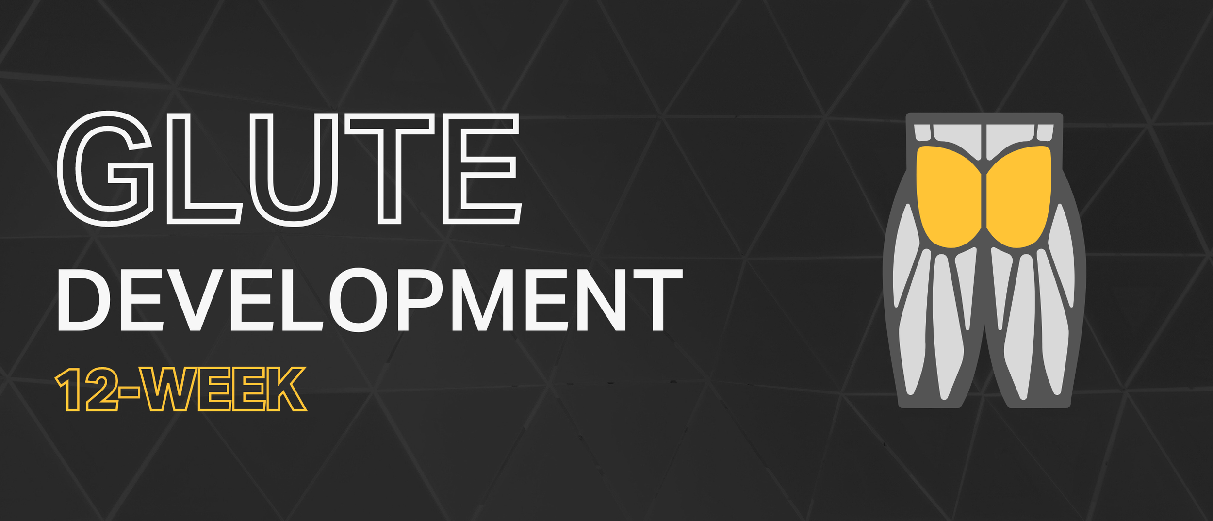 Ultimate 12-Week Training Plans — Fitness Stuff (for normal people) Podcast