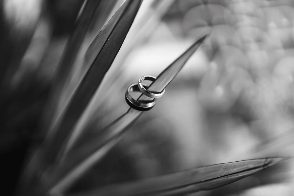 Barbados Weddings & Elopements — JQuan Photo | Barbados Wedding ...