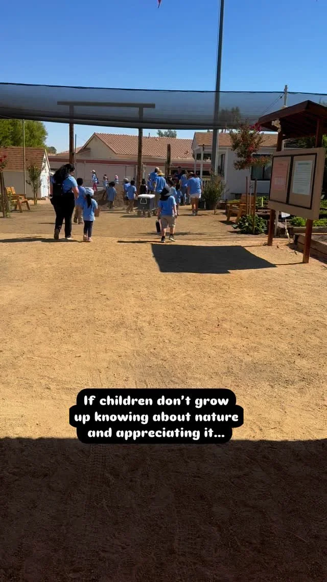 Lighthouse Charities