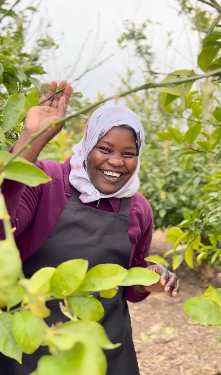 Lighthouse Charities