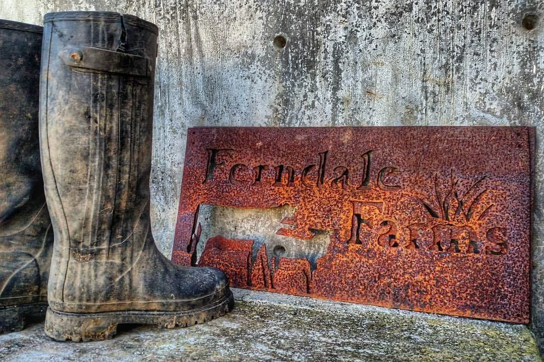 Practices — Ferndale Farms Grass-Fed Beef & Lamb—Pasture-Raised CA Meat
