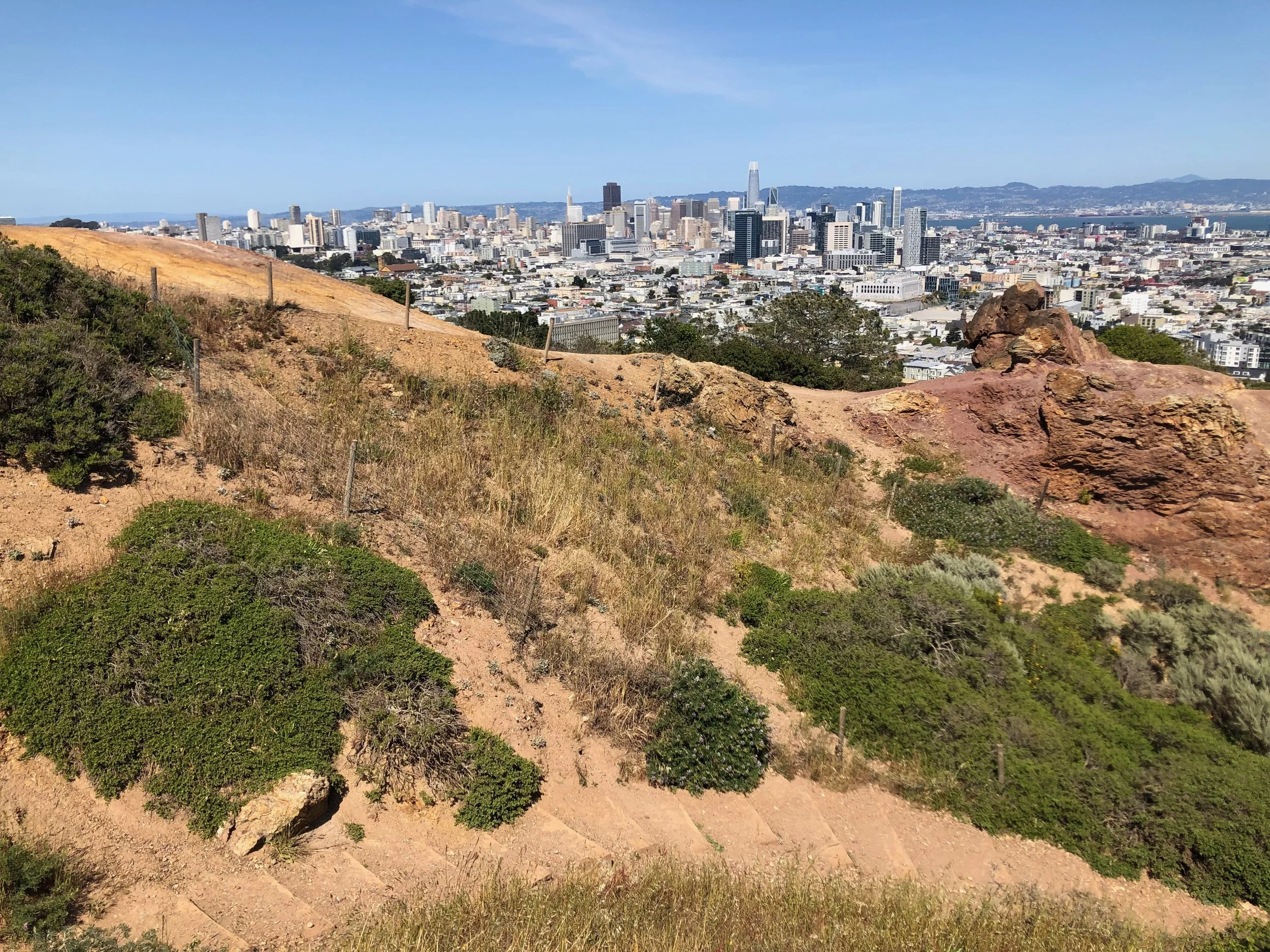 A Local's Guide to the Best Viewpoints in San Francisco — Vanessa ...