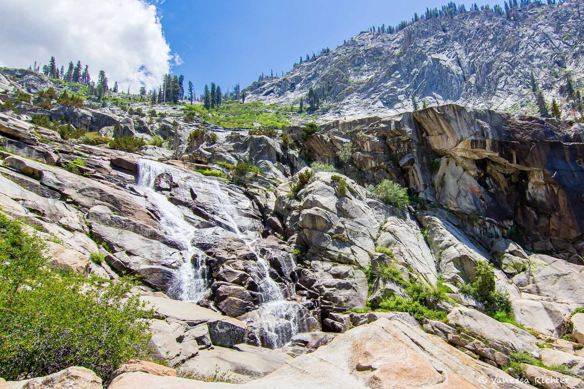 2 Days in Sequoia and Kings Canyon National Parks: A First Timer's ...