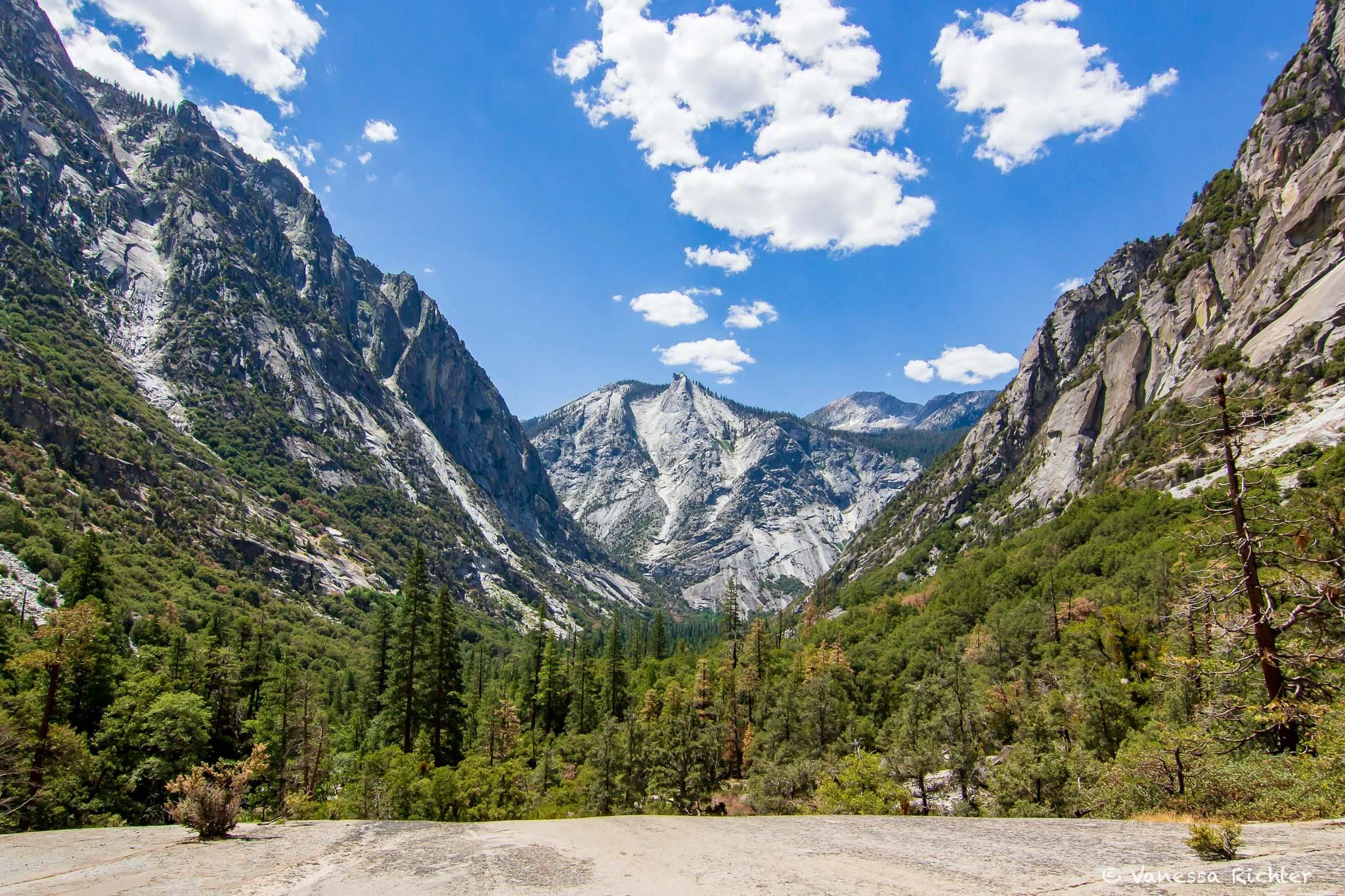 2 Days in Sequoia and Kings Canyon National Parks: A First Timer's ...