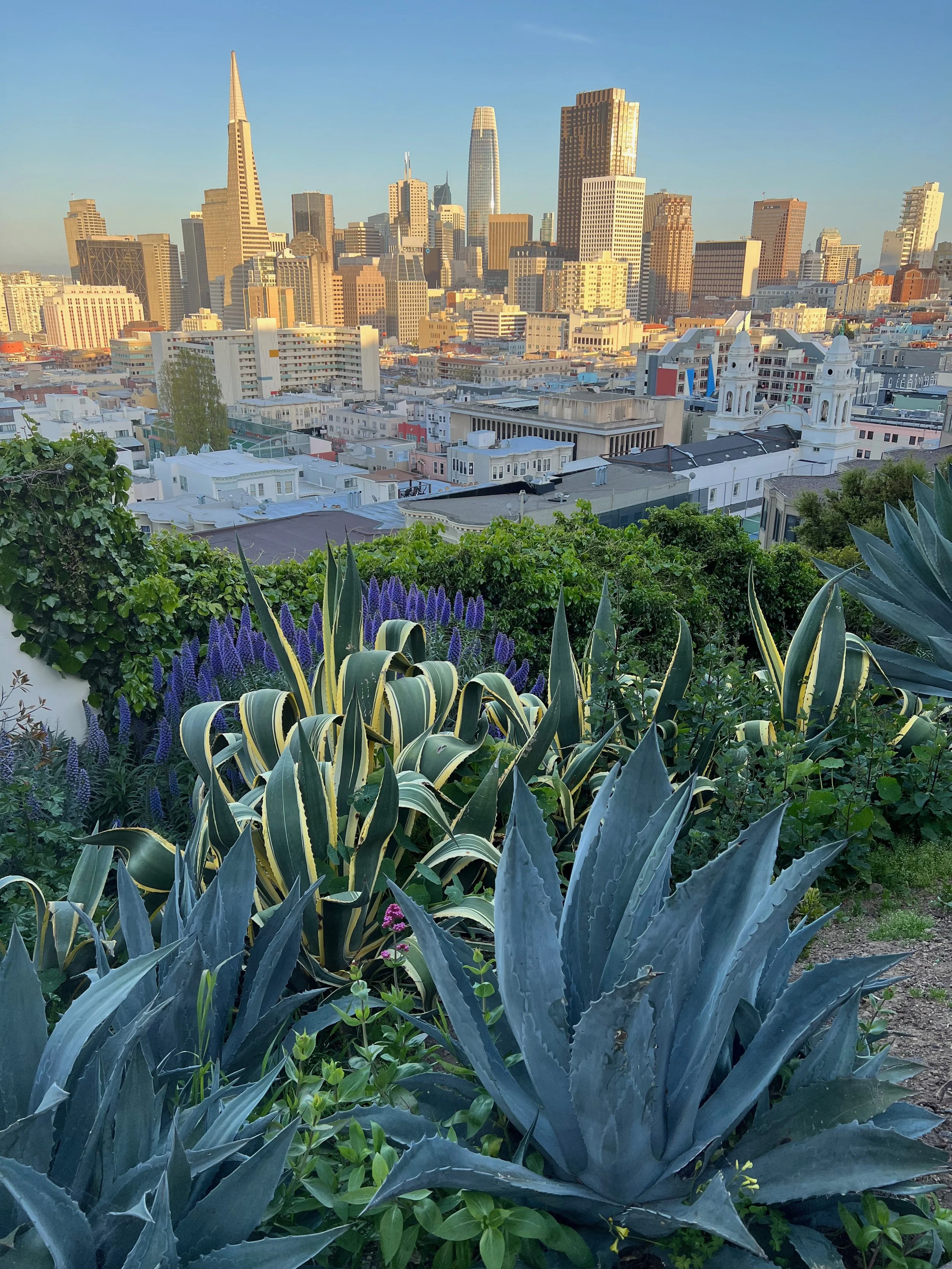 A Local's Guide to the Best Viewpoints in San Francisco — Vanessa ...