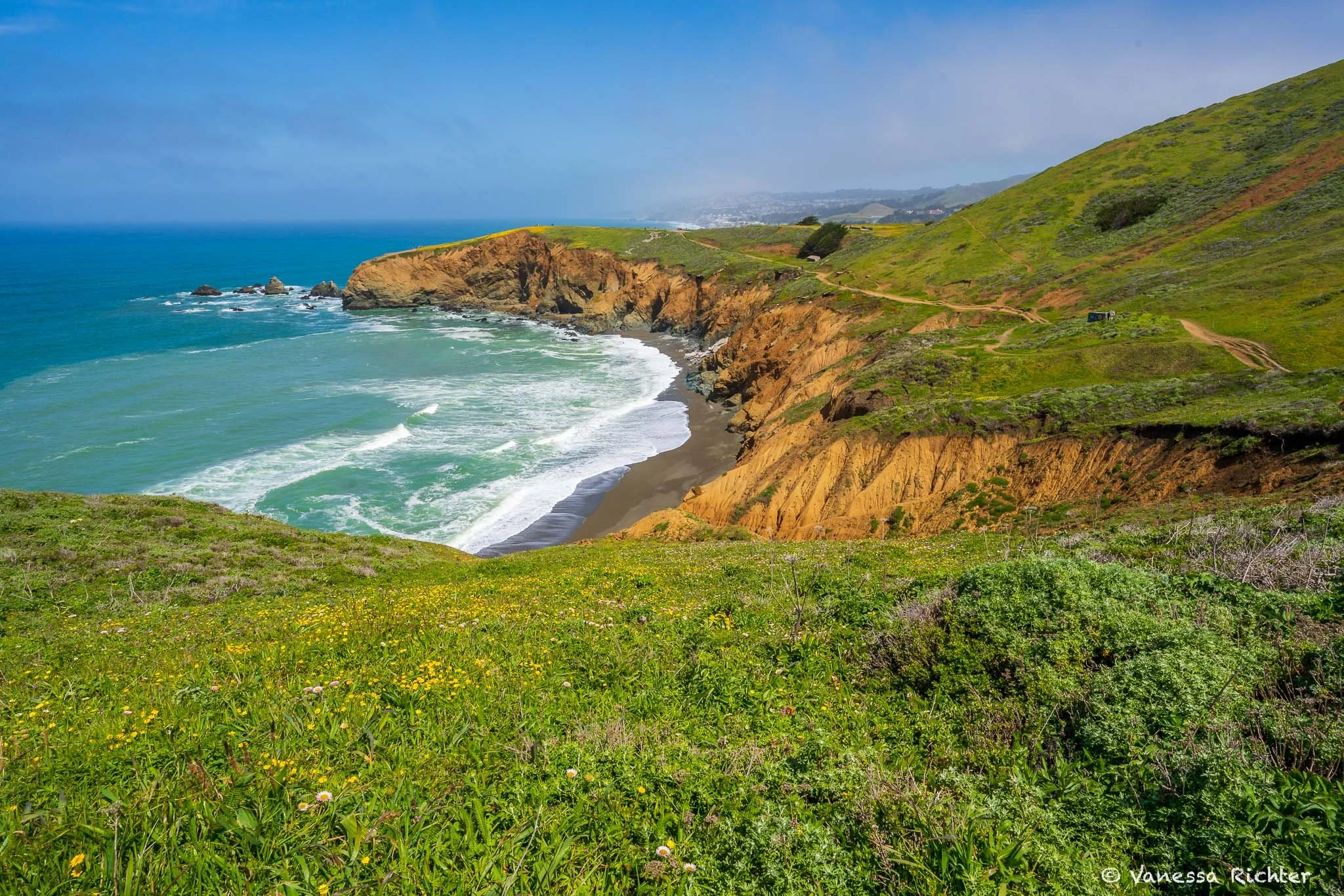 Hiking Mori Point In Spring: Where Wildflowers and Conservation Bloom ...
