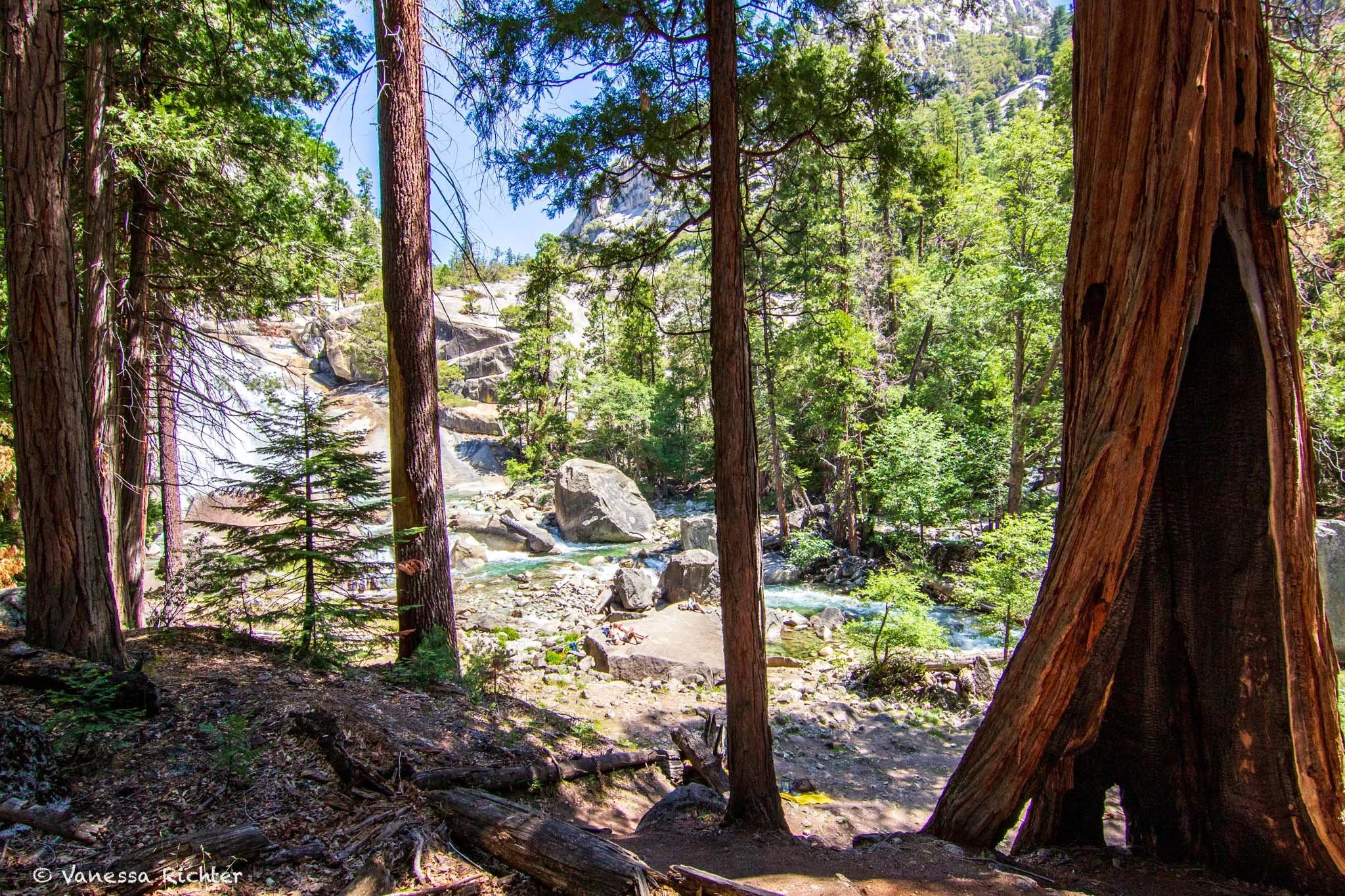2 Days in Sequoia and Kings Canyon National Parks: A First Timer's ...